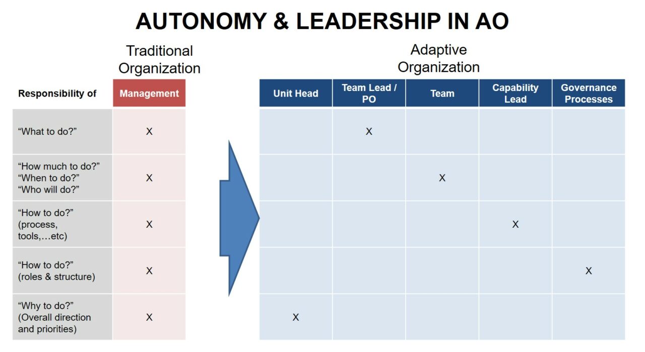 An Alternative Ambidextrous / Agile Organization and Governance Model ...